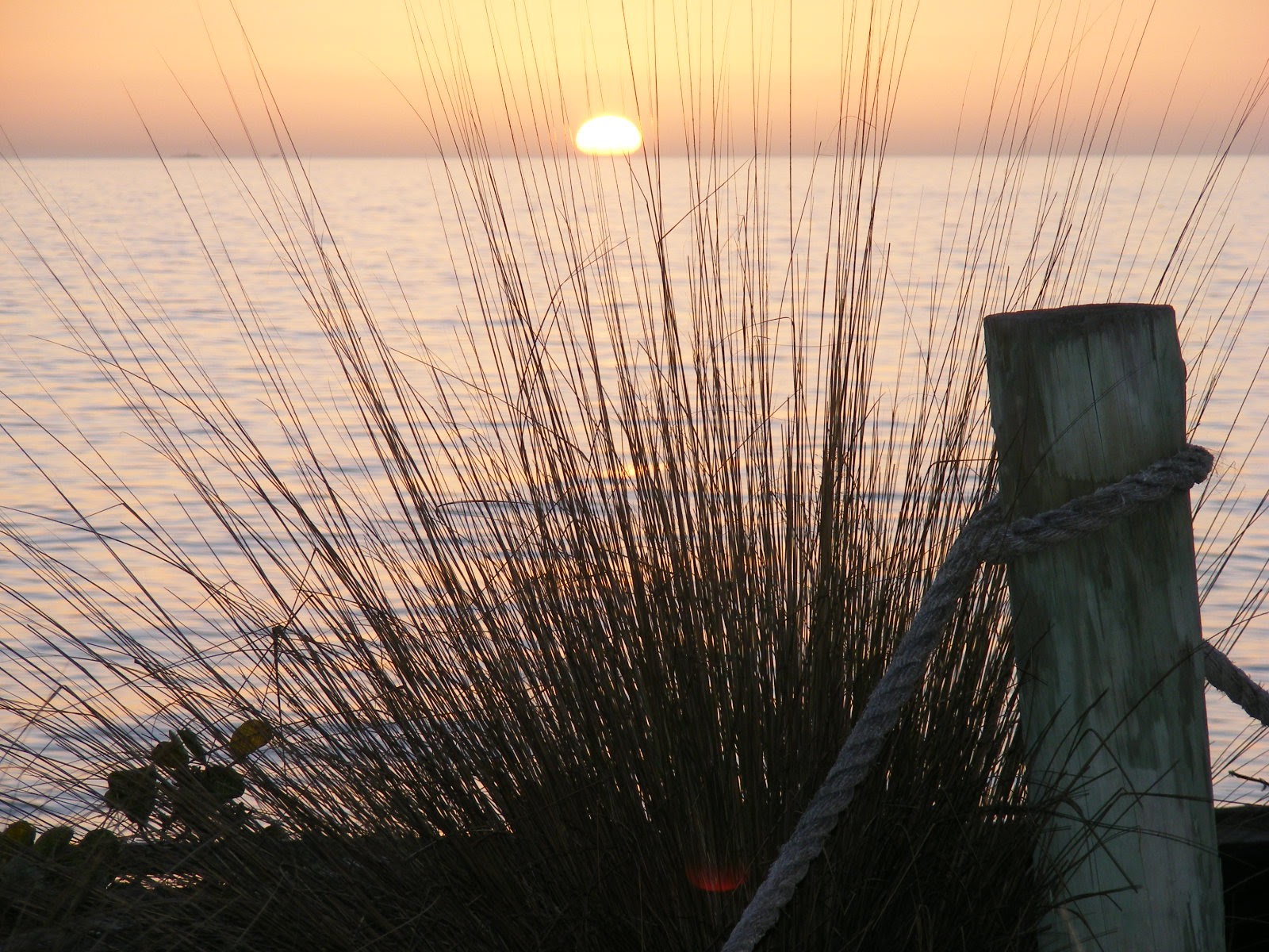 Dear Joey: A Love Letter To My Son The Addict | Magnolia New Beginnings